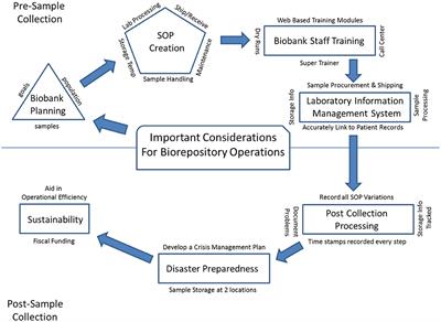 Frontiers | Mini-Review of Laboratory Operations in Biobanking ...