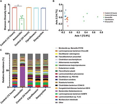Frontiers | Metatranscriptomics Reveals Antibiotic-Induced Resistance ...