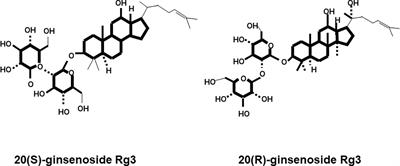 Frontiers | Relationship Between Ginsenoside Rg3 and Metabolic Syndrome