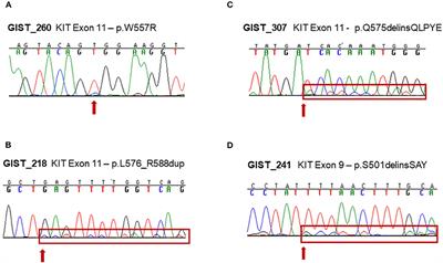 Frontiers | Targeted Deep Sequencing Uncovers Cryptic KIT Mutations in ...