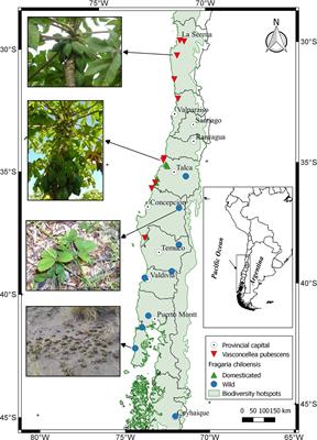Frontiers | Southern Species From the Biodiversity Hotspot of Central ...