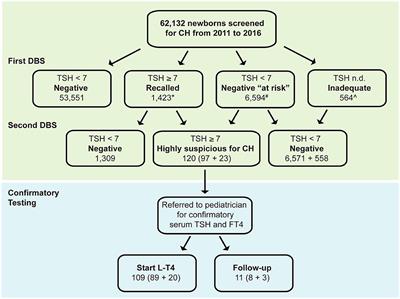 Frontiers | A Detailed Analysis of the Factors Influencing Neonatal TSH ...