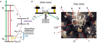 Frontiers | Optimization of a Diamond Nitrogen Vacancy Centre ...
