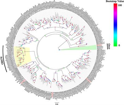 Frontiers | Cloning and Functional Characterization of Three Odorant ...