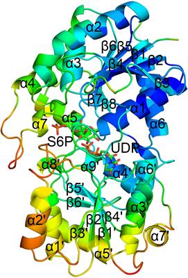 Frontiers | Co-crystal Structure of Thermosynechococcus elongatus ...