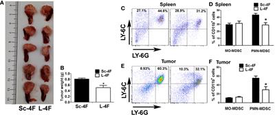 Frontiers | Apolipoprotein A-I Mimetic Peptide L-4F Suppresses ...