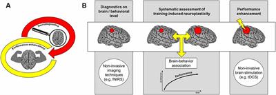 Frontiers | Neurodiagnostics in Sports: Investigating the Athlete’s ...