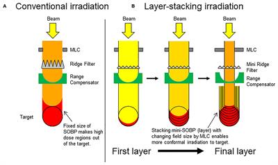 Frontiers | Skin Dose Reduction by Layer-Stacking Irradiation in Carbon ...