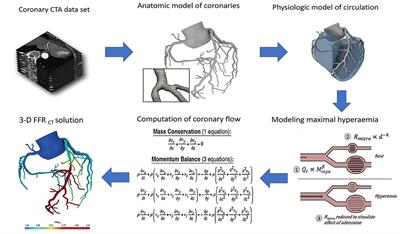 Frontiers | An Introductory Overview of Image-Based Computational ...