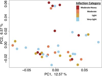 Frontiers | Characterizing the Epigenetic and Transcriptomic Responses ...