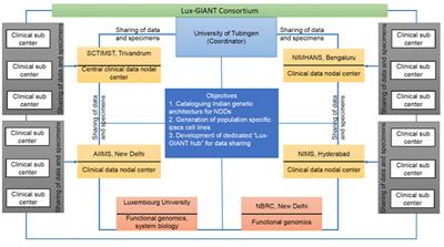 Frontiers | Genetic Architecture of Parkinson's Disease in the Indian ...