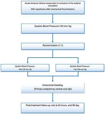 Frontiers | Blood Pressure Target in Acute Stroke to Reduce HemorrhaGe ...