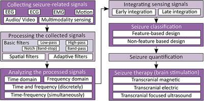 Frontiers | Epileptic Seizure Detection and Experimental Treatment: A ...