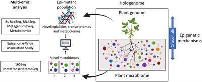 Frontiers | Breeding for Beneficial Microbial Communities Using Epigenomics