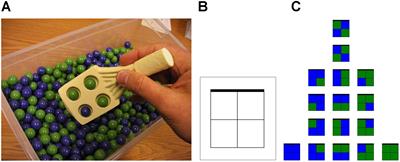 Frontiers | The Future of Embodied Design for Mathematics Teaching and ...