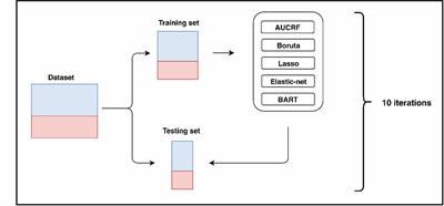 Frontiers | Machine Learning for Differential Diagnosis Between ...