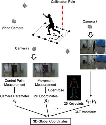 Frontiers | Evaluation of 3D Markerless Motion Capture Accuracy Using ...