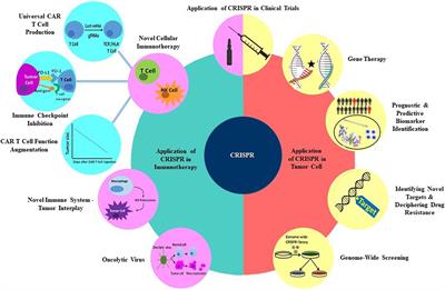 Frontiers | CRISPR/Cas: From Tumor Gene Editing to T Cell-Based ...