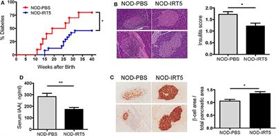 Frontiers | Amelioration of Autoimmune Diabetes of NOD Mice by ...