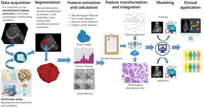 Frontiers | Study Processes and Applications of Ultrasomics in ...