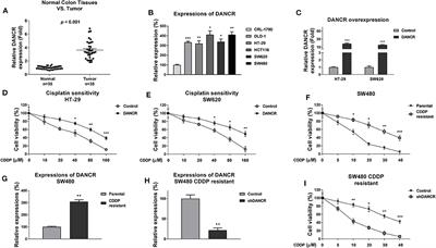 Frontiers | LncRNA-DANCR Interferes With miR-125b-5p/HK2 Axis to ...
