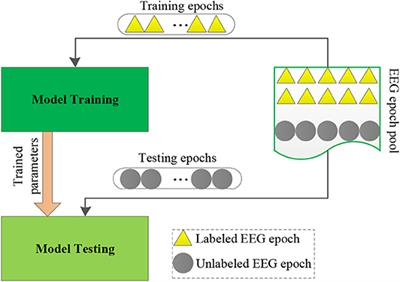 Frontiers | Seizure Classification From EEG Signals Using an Online ...