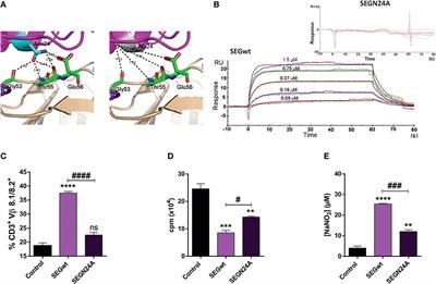 Frontiers | Heterologous Chimeric Construct Comprising a Modified ...