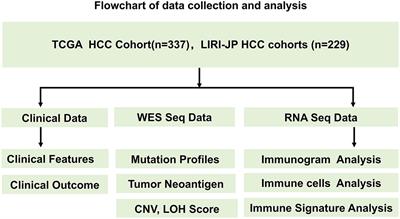 Frontiers | An Immunogram for an Individualized Assessment of the ...