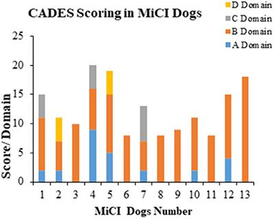 What Causes High Alt Levels In Dogs