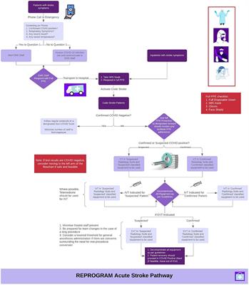 Frontiers | Acute Neurological Care in the COVID-19 Era: The Pandemic ...