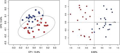 Frontiers | Vaginal Microbiota Changes During Estrous Cycle in Dairy ...