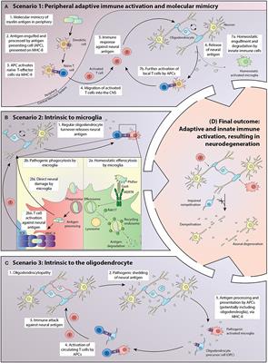 Frontiers | Multiple Sclerosis as a Syndrome—Implications for Future ...