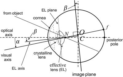 Frontiers | A Geometric Theory Integrating Human Binocular Vision With ...