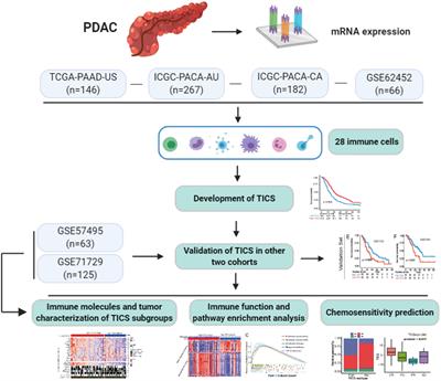 Frontiers | Tumor-Infiltrating Immune Cell Signature Predicts the ...