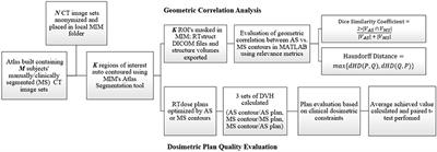 Frontiers | Analysis of Geometric Performance and Dosimetric Impact of ...