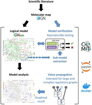 Frontiers | Computational Verification of Large Logical Models ...