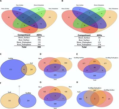 Frontiers | Dynamic Changes in the Microbiome of Rice During Shoot and ...