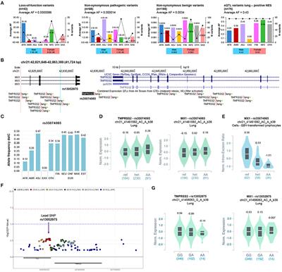 Frontiers | Genetic Analysis of the Coronavirus SARS-CoV-2 Host ...