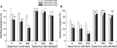 Frontiers | Exposure to High Salinity During Seed Development Markedly ...