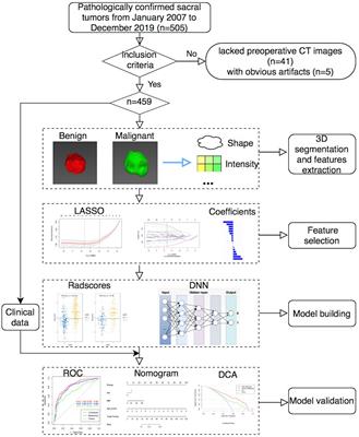 Frontiers | Machine and Deep Learning Based Radiomics Models for ...