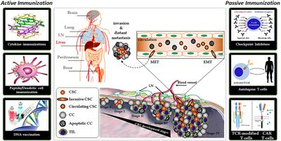 Frontiers | Molecular Immunotherapy: Promising Approach to Treat ...