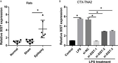 Frontiers | Long Noncoding RNA X-Inactive-Specific Transcript Promotes ...