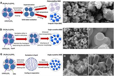 Frontiers | Synthesis and Manipulation of Single-Crystalline Lithium ...
