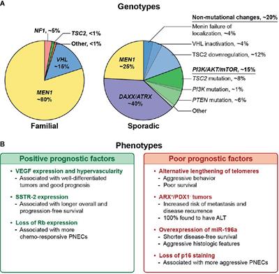 Frontiers | Molecular Signatures and Their Clinical Utility in ...