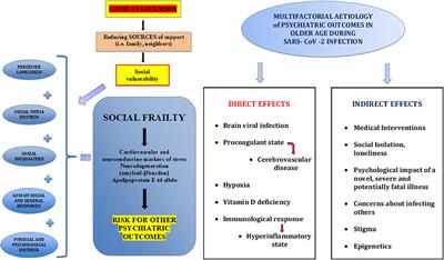 Frontiers | Social Frailty in the COVID-19 Pandemic Era