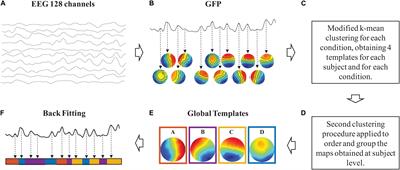 Frontiers | Is Brain Dynamics Preserved in the EEG After Automated ...