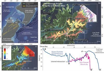 Frontiers | What We Do in the Shallows: Natural and Anthropogenic ...