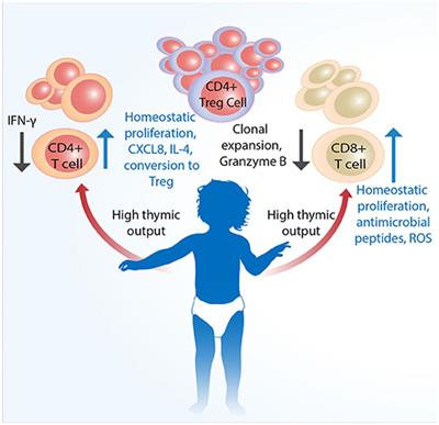 Acute Lymphoblastic Leukemia