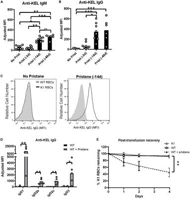 Frontiers | Type 1 Interferon Gene Signature Promotes RBC ...