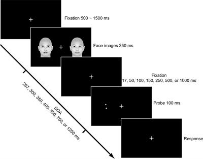 Frontiers | How Does Fearful Emotion Affect Visual Attention?